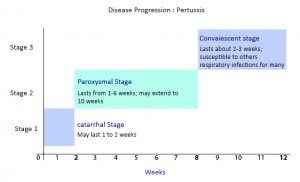 Leading Pharma Players Exploring the Pertussis Treatment Landscape