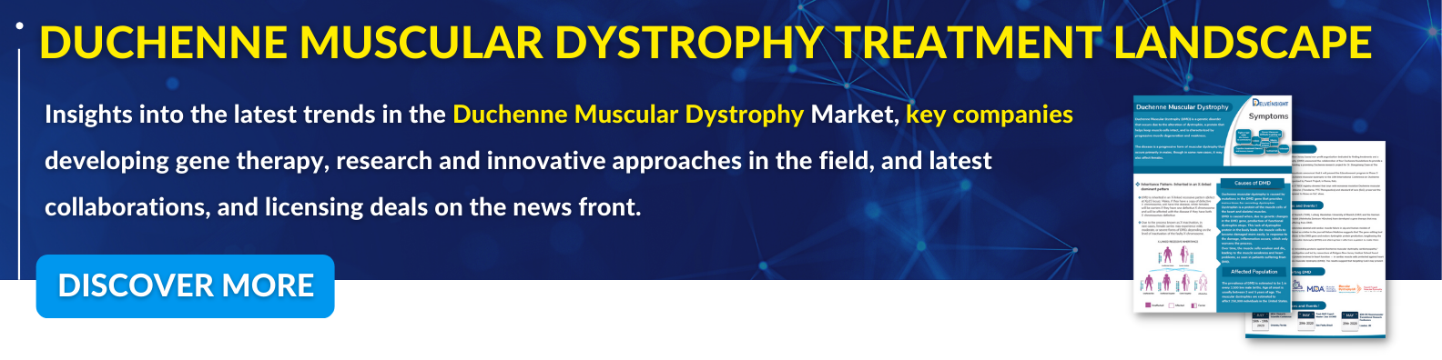 Gene Therapy For the Duchenne Muscular Dystrophy (DMD) Treatment