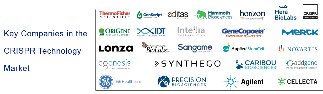 How is CRISPR Technology Changing the Gene-editing Space?