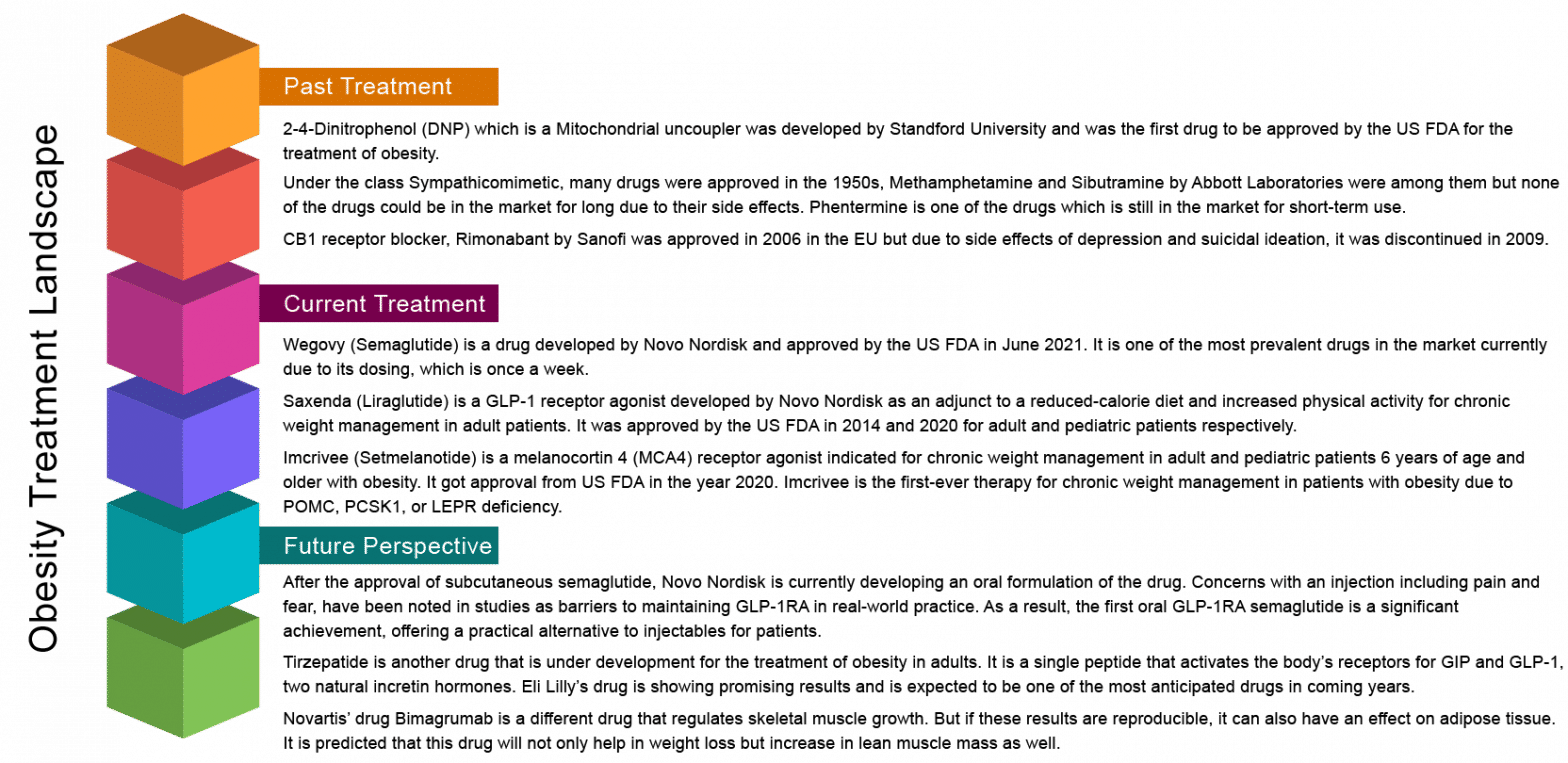 Evolving Obesity Treatment - Emerging Therapies and Key Companies