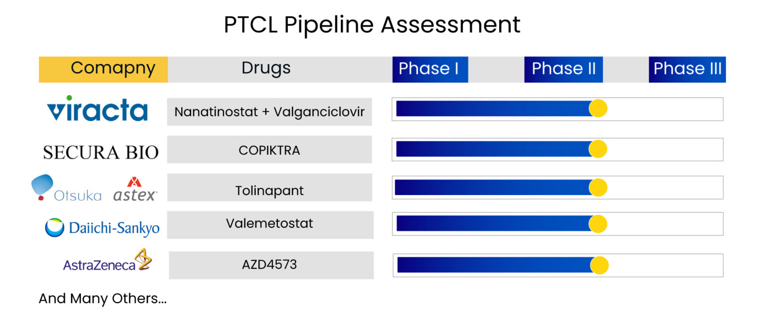 Recent Developments in the Peripheral T-cell Lymphoma Treatment Market