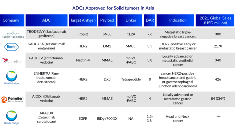 Antibody Drug Conjugates for Cancer Treatment | Asia Healthcare Market