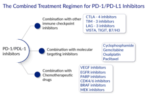 Potential of PD-1 and PD-L1 Inhibitors in Cancer Management