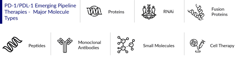 Potential of PD-1 and PD-L1 Inhibitors in Cancer Management