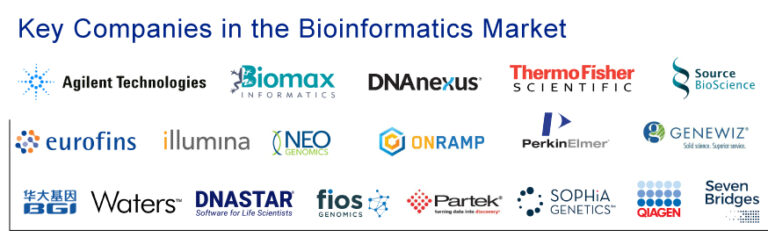 Bioinformatics in Biological Processes and Medicine | Market Assessment