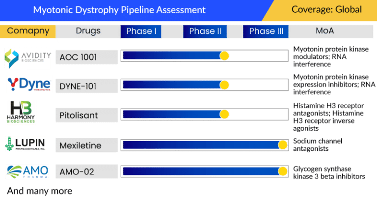 Bumpy Journey for Myotonic Dystrophy Treatment to Clinical Development