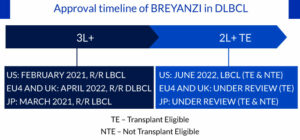 CAR T-cell therapy, YESCARTA for DLBCL Treatment | ASH 2022