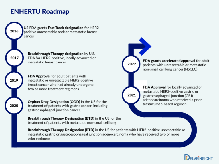 Navigating the Journey of ENHERTU in Cancer Management