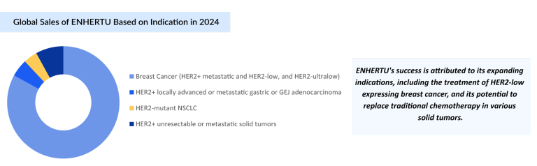 Navigating the Journey of ENHERTU in Cancer Management