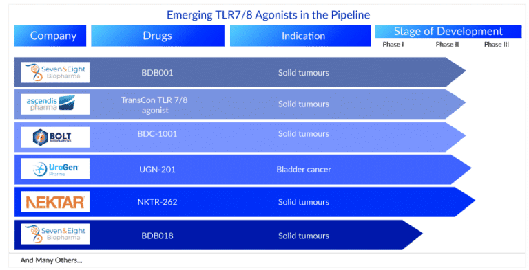 TLR7/8 Agonists for Various Cancers | Clinical Trial Analysis