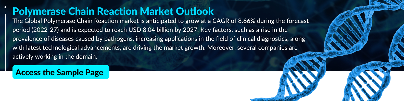 Polymerase Chain Reaction Market | Key Trends and Companies