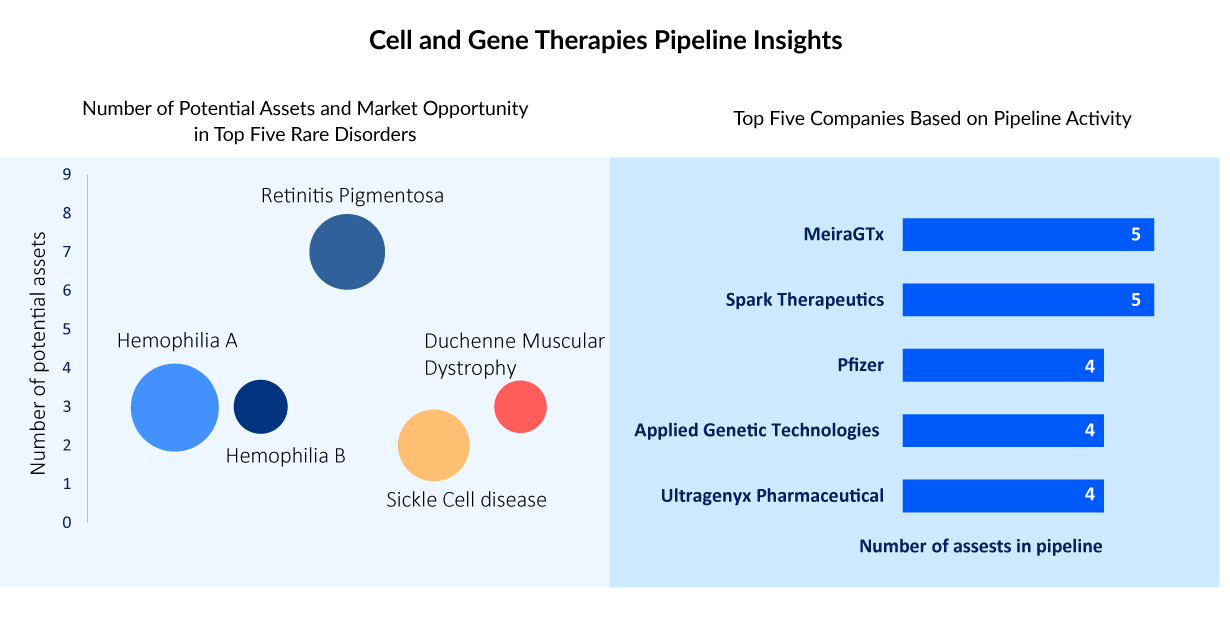 Cell and Gene Therapies in Rare Disorders | Key Insights
