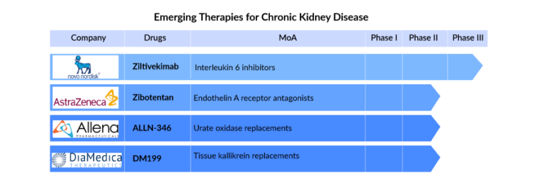Navigating Evolving Chronic Kidney Disease Treatment Market
