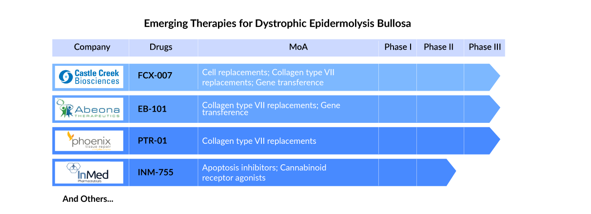 Potential of Gene Therapies for Dystrophic Epidermolysis Bullosa