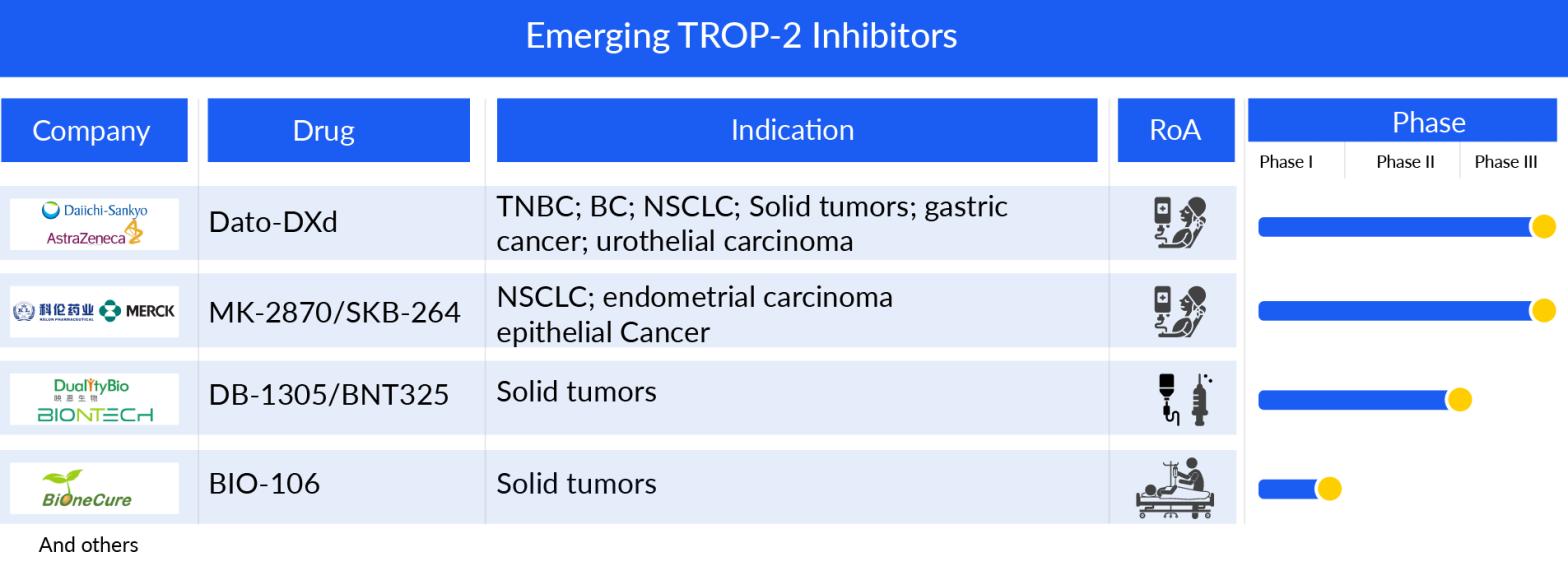 TROP-2 Inhibitors: Pioneering Cancer Treatment Horizons