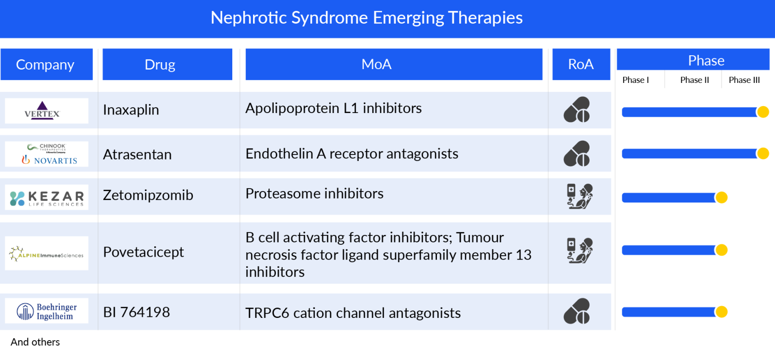 Emerging Nephrotic Syndrome Treatments: A Glimpse Ahead