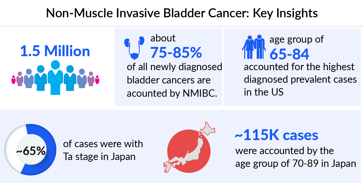 Non-Muscle Invasive Bladder Cancer Treatment | Novel Therapies
