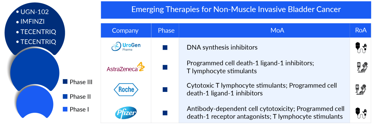 Non-Muscle Invasive Bladder Cancer Treatment | Novel Therapies