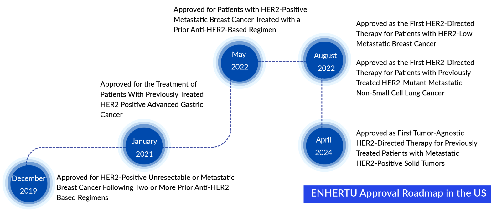 ENHERTU: First Tumor Agnostic HER2-Targeted Treatment