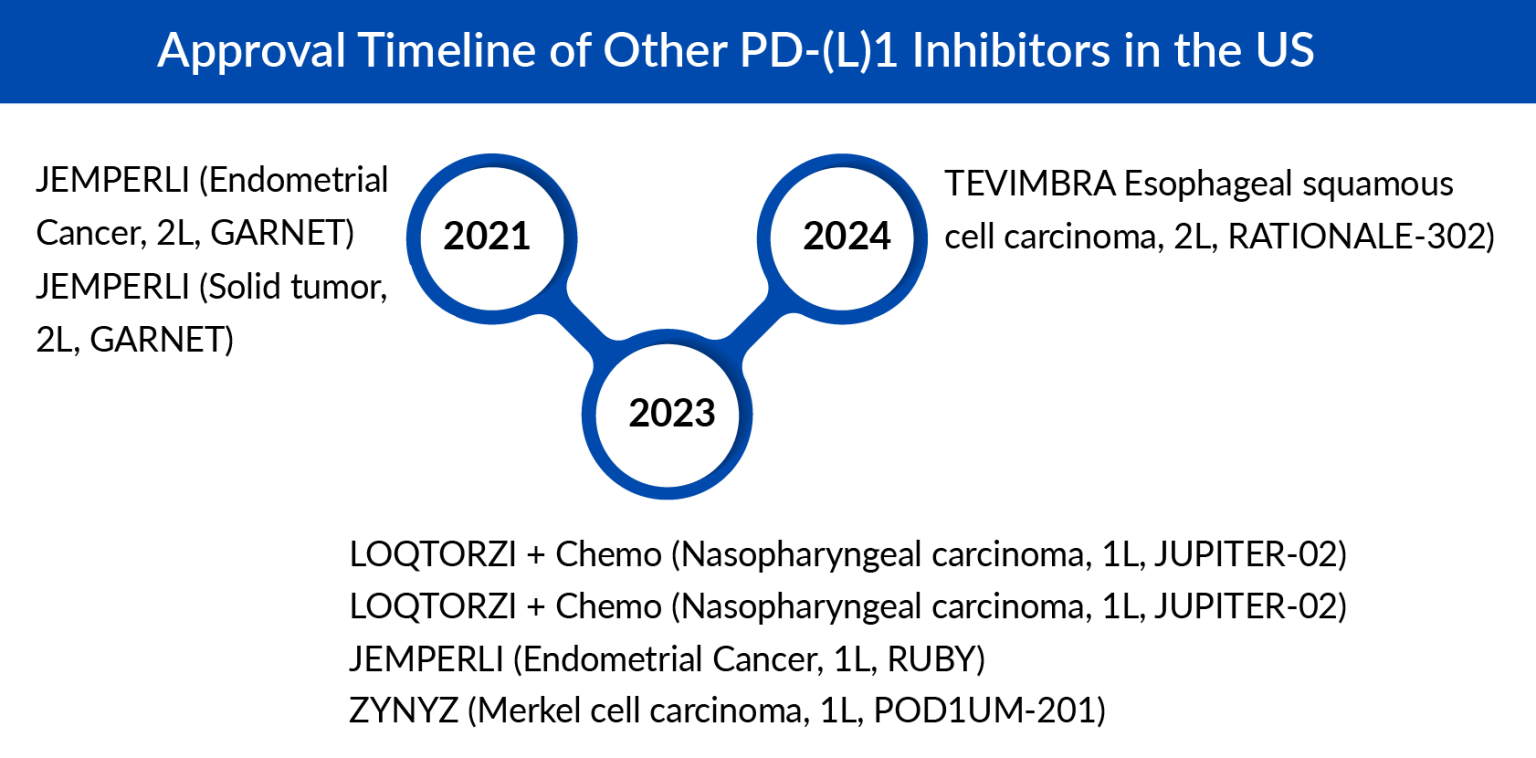 Key Developments in PD-(L)1 Inhibitors