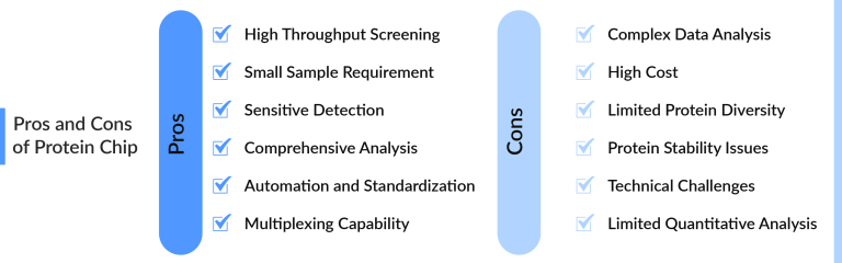 Understanding Protein Chips: A Gateway to Advanced Proteomics