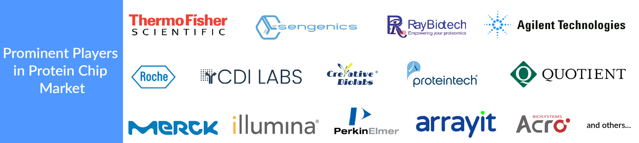 Understanding Protein Chips: A Gateway to Advanced Proteomics