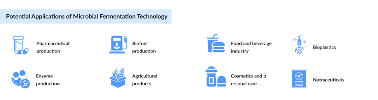 Unlocking the Potential of Microbial Fermentation Technology