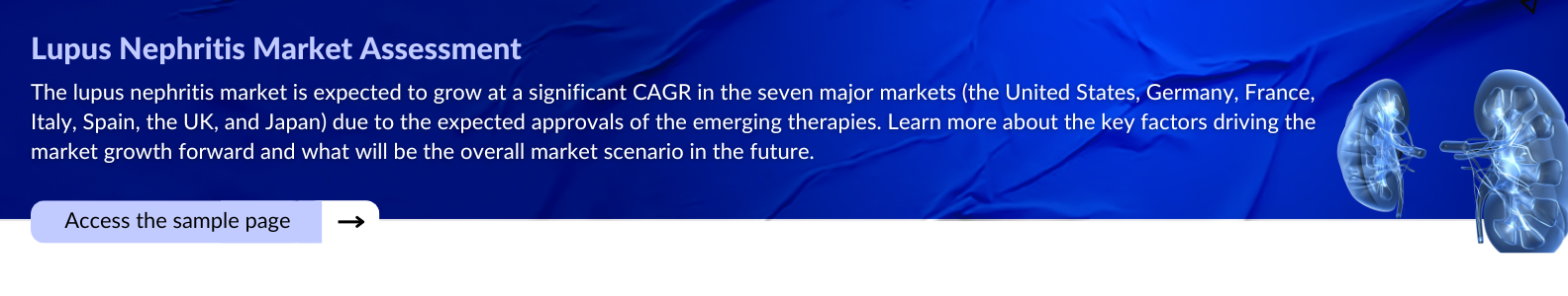 Novel Insights into Emerging Lupus Nephritis Therapies