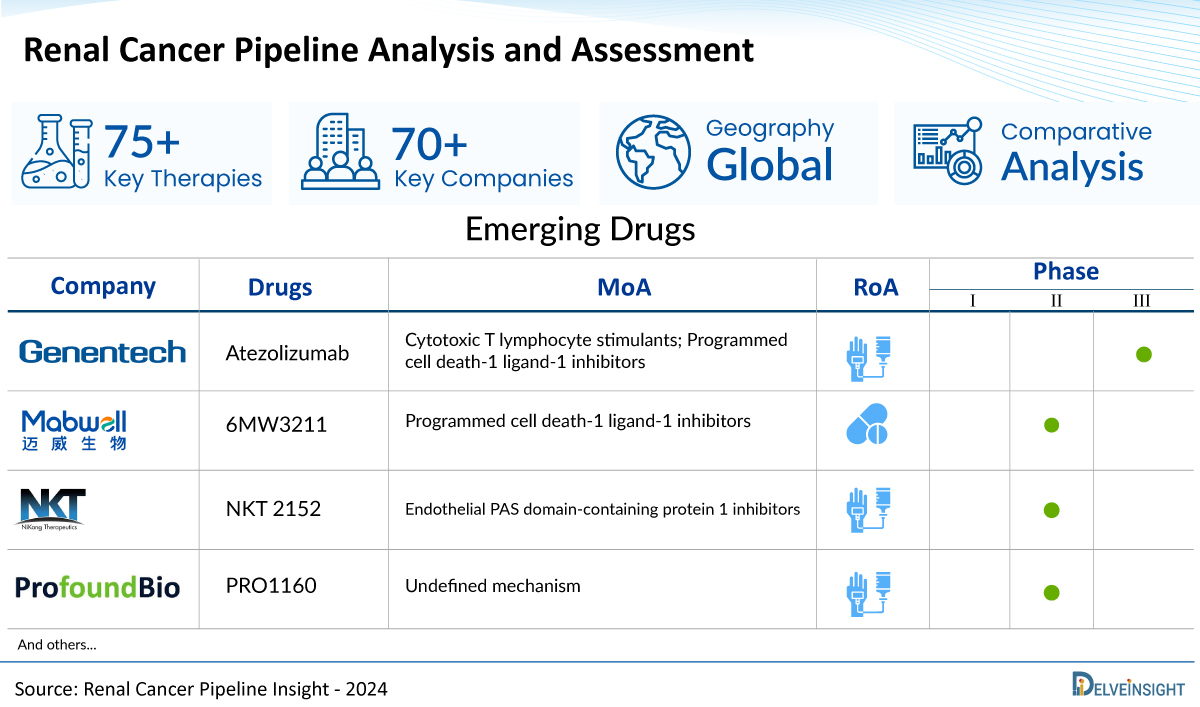 Renal Cancer Pipeline Insight | Renal Cancer Pipeline Assessment, Pipeline Drugs