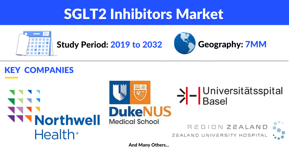SGLT2 inhibitors Market Share, Size, Insights Report