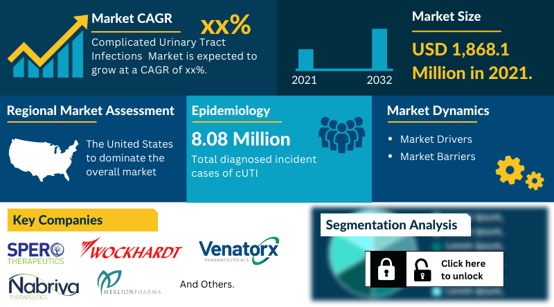 Complicated Urinary Tract Infection Market Size Outlook