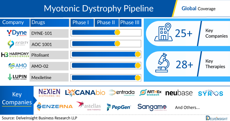 Myotonic dystrophy Pipeline therapies and Companies